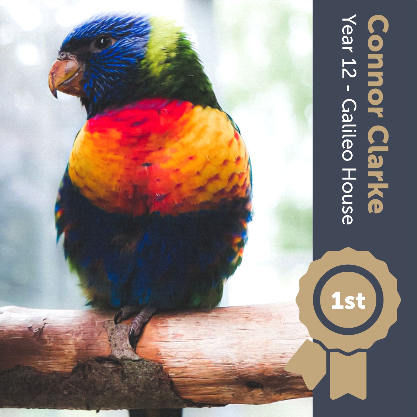 House competition relives memories of the summer holidays – Bourne Academy