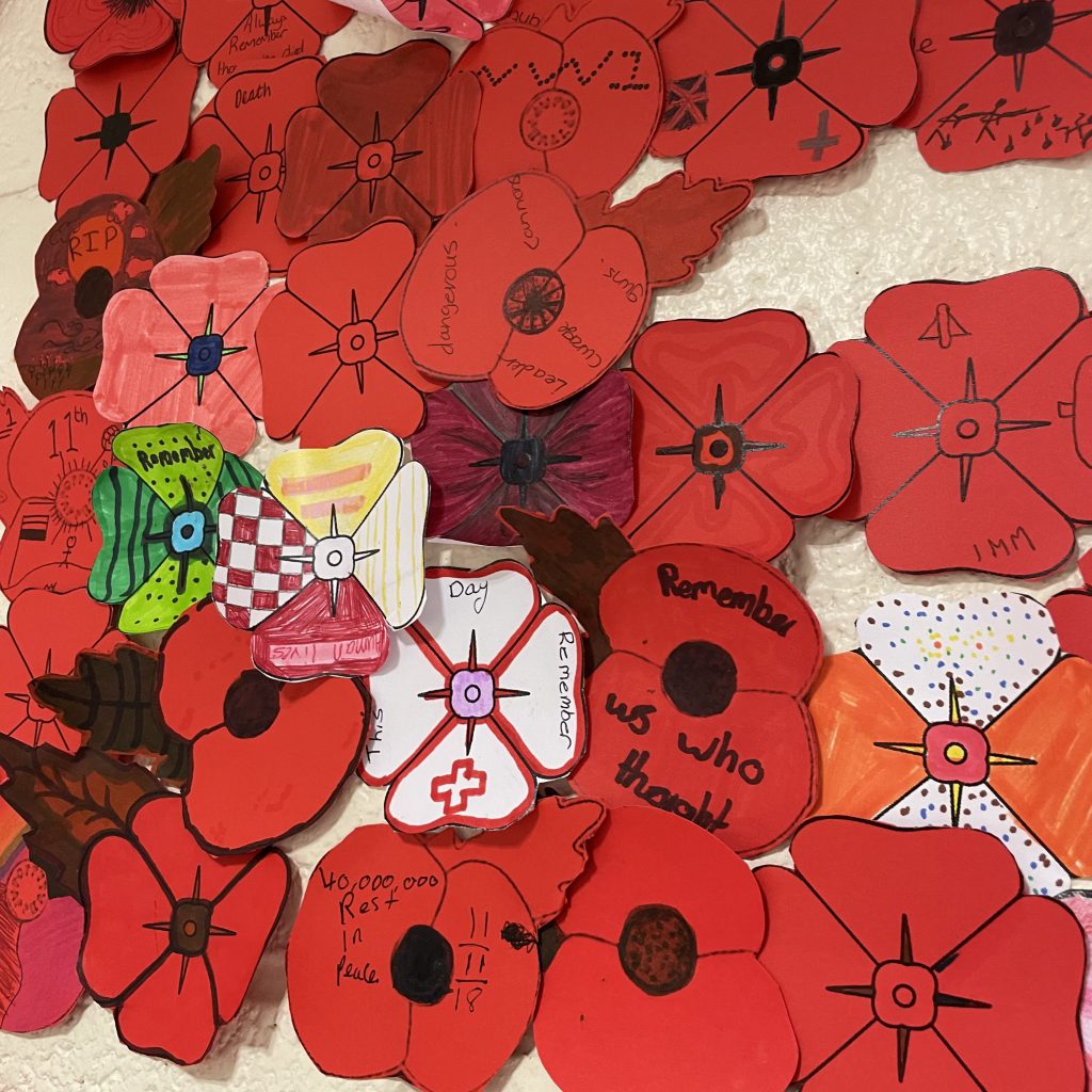 Stunning display features over 700 poppies handmade by students ...