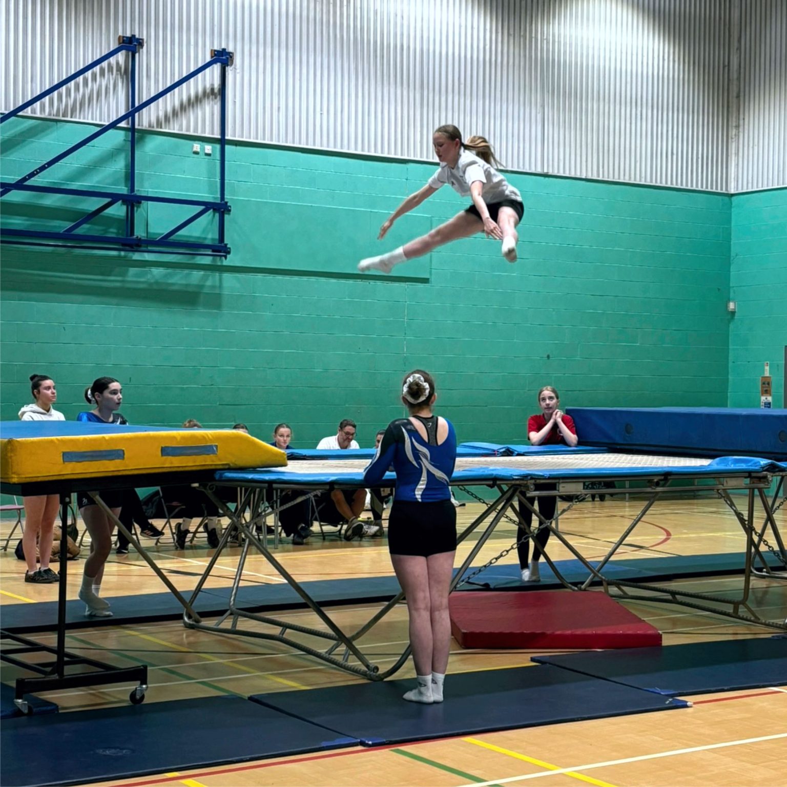 Gymnasts perform jumps, drops and twists at Trampoline Competition ...