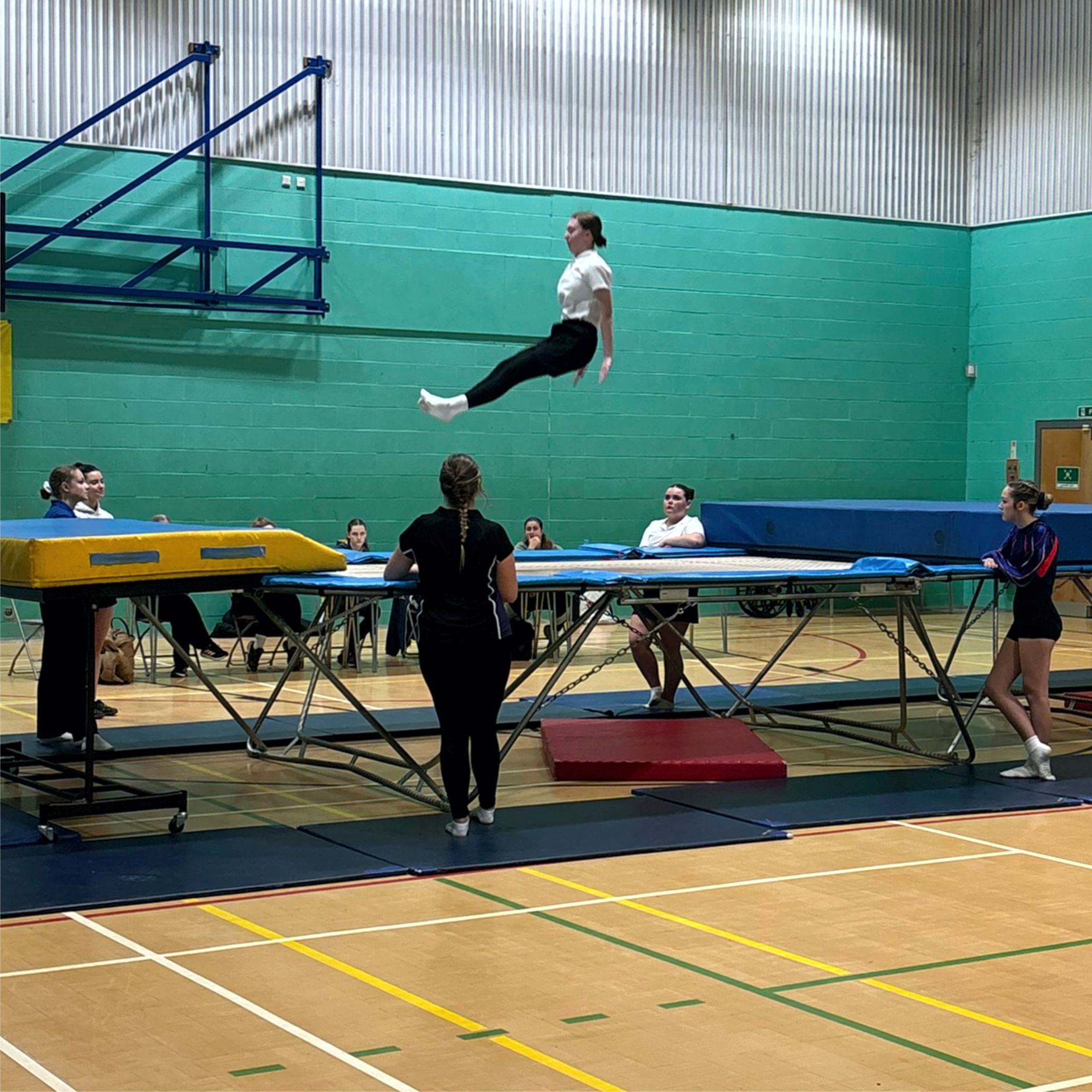 Gymnasts perform jumps, drops and twists at Trampoline Competition ...