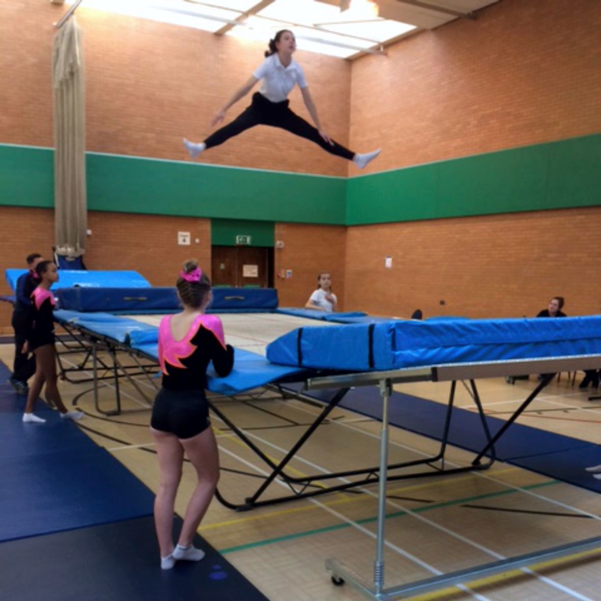 Alfie triumphs in Elite category at Superzone Trampoline Competition ...
