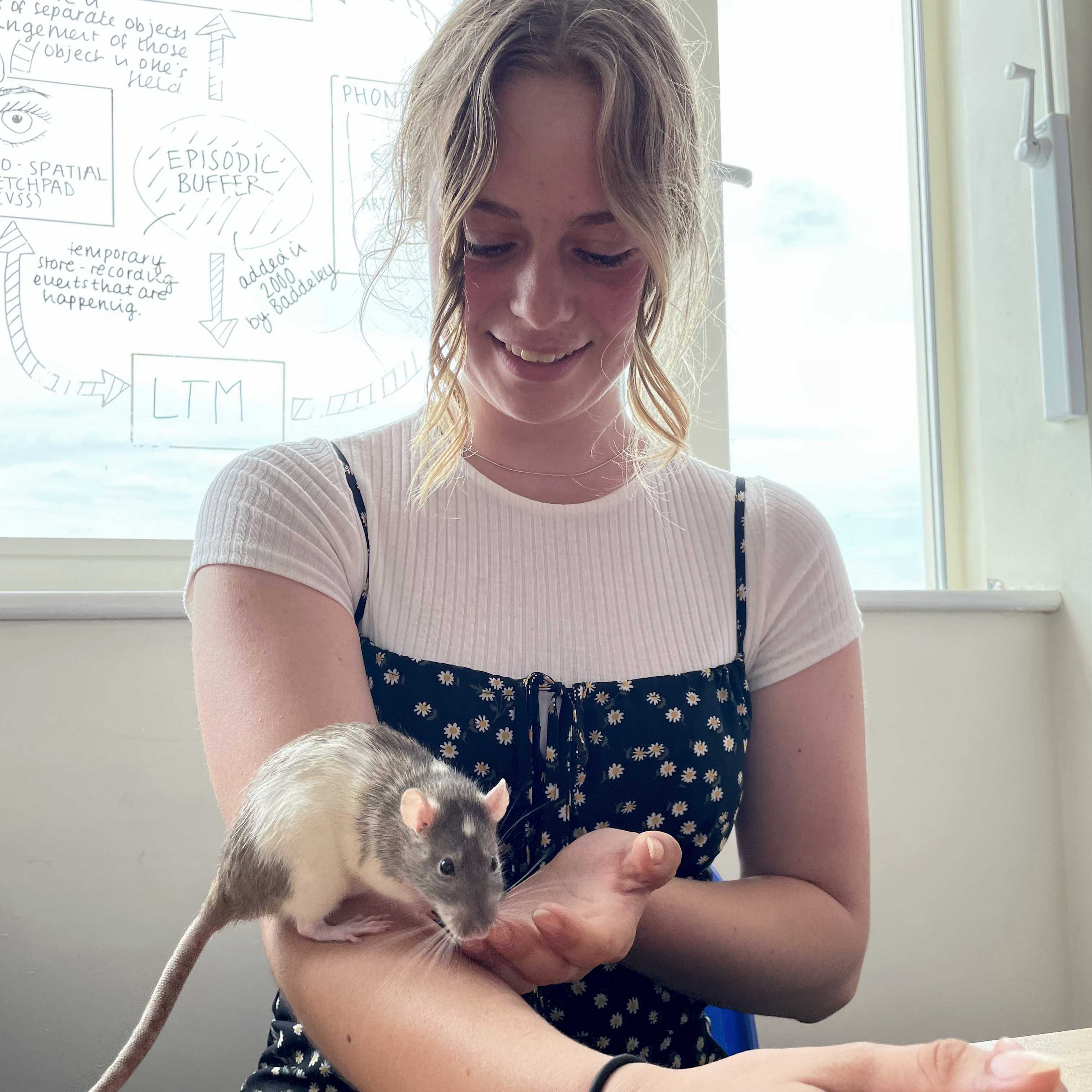 Psychologists come face-to-face with their fears and phobias – Bourne ...