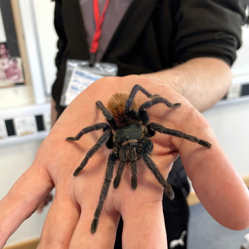 Psychologists come face-to-face with their fears and phobias – Bourne ...